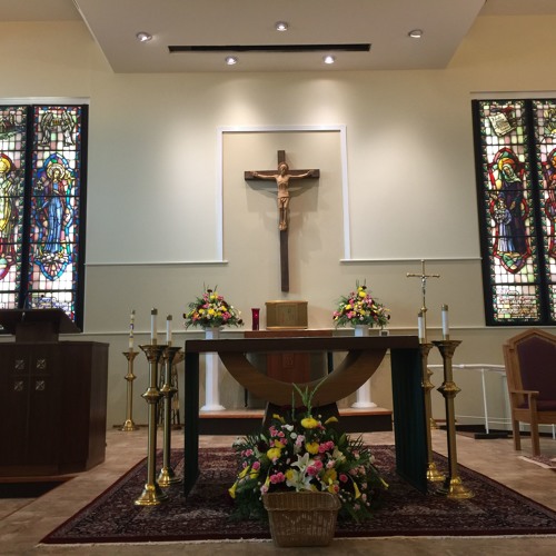 Stream Fr Patrick Dunne One Source by New York Catholic Radio | Listen ...