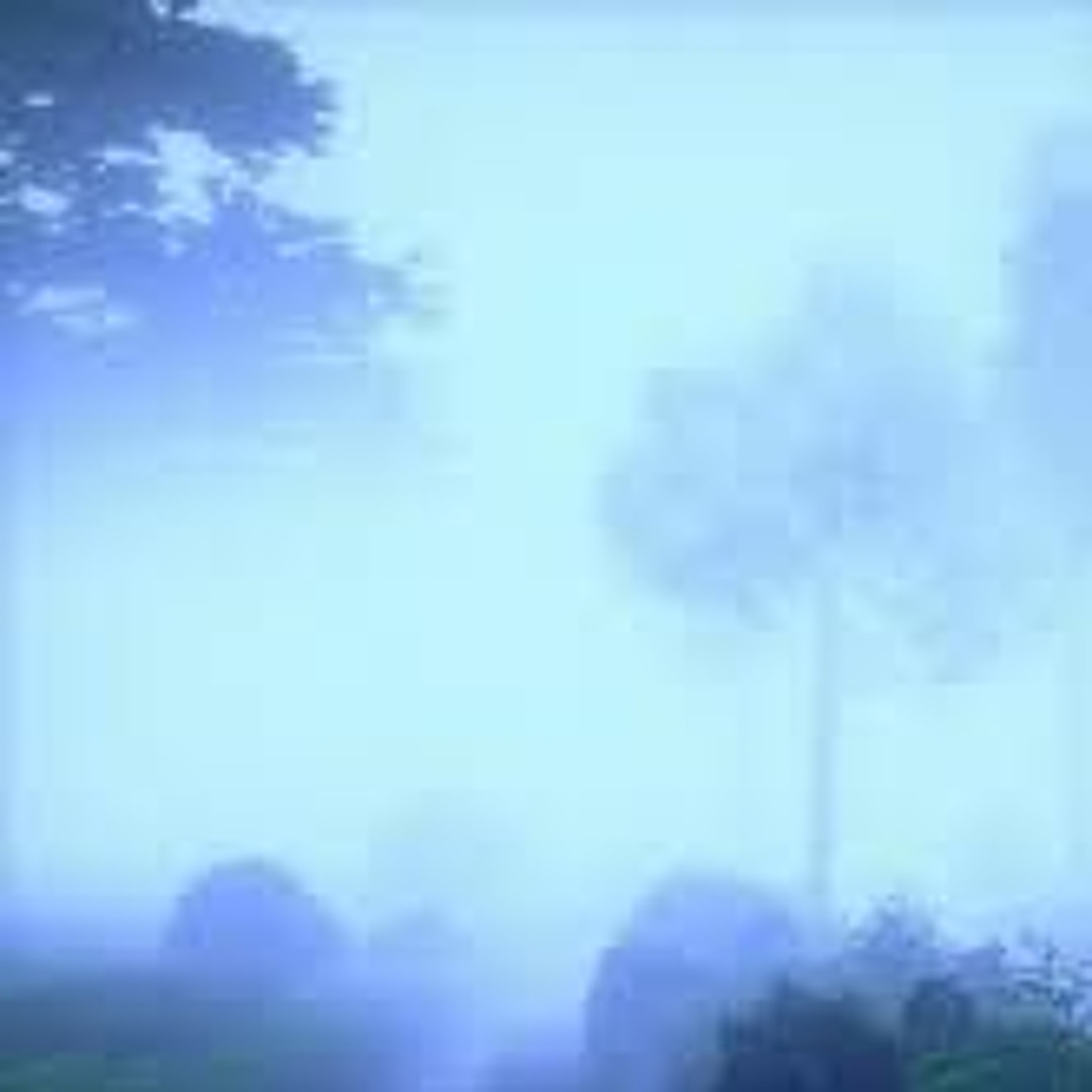 Listen to Pokémon Sword & Shield - Slumbering Weald Theme - OST by The ...