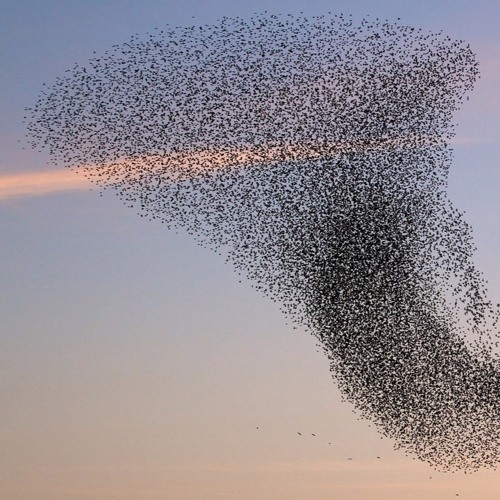 Stream Francisco Botello - Waking up (Side by Side) by f.botello ...