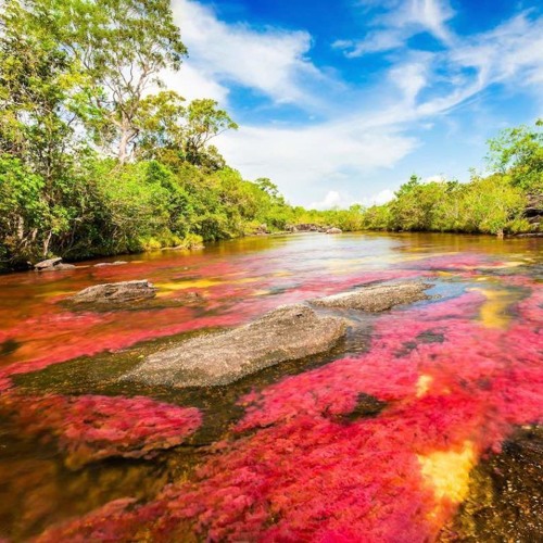 Stream Jack Luo | Listen to Emotional Shorts playlist online for free on SoundCloud