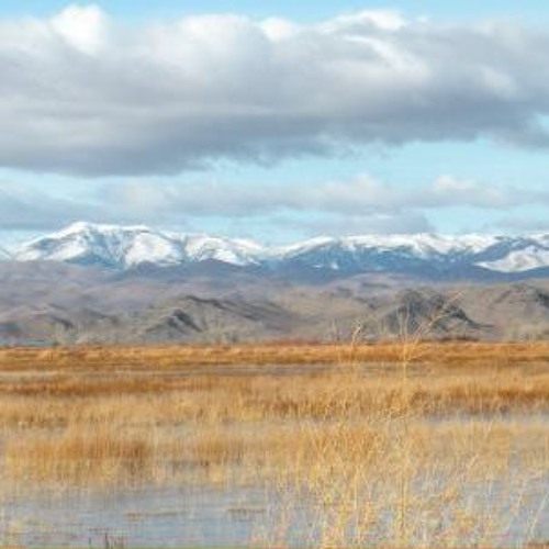 Stream Mason Valley Wildlife Management Area by The Nevada Department ...