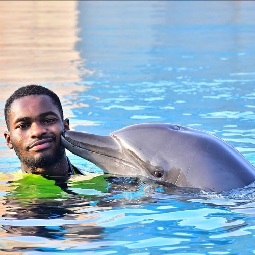 Stream Dave feat. Burna Boy - Location Gafacci & Rolv. K Remix by ...