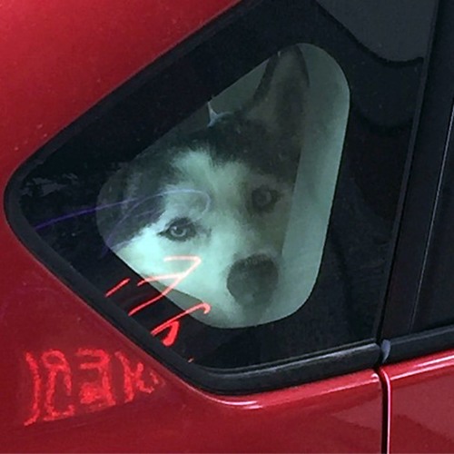 Stream SELA - baby's first baile by DURANDURANDURAN | Listen online for ...