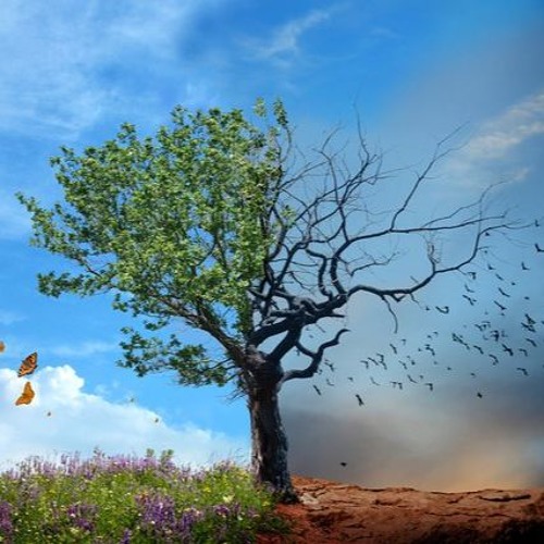 Stream Dear 2045 by imbored | Listen online for free on SoundCloud