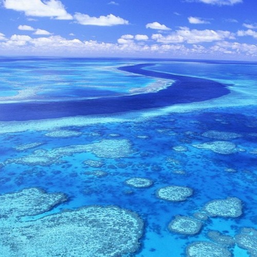 Stream Open Ocean by Kincaid Rabb | Listen online for free on SoundCloud