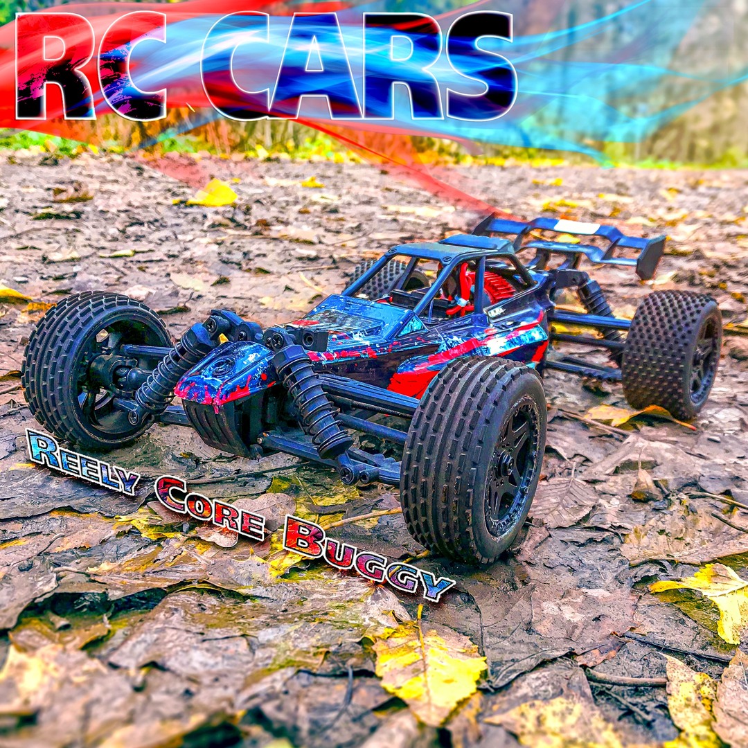 Reely rc buggy store