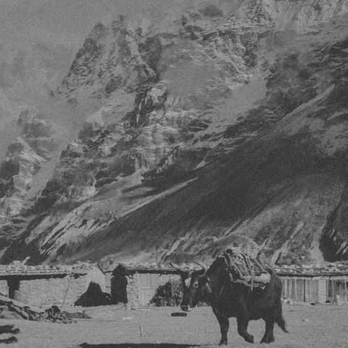 Stream Leathan Milne Music | Listen to Idle Moon - NOMAD playlist ...