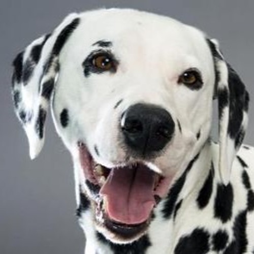 Stream Alone- By Jack Gillbert- Music Bernado Sassetti, voice M.J ...