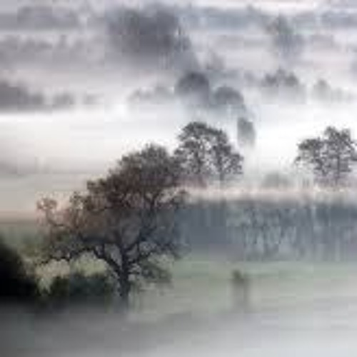 Stream Apparitions II (for viola and percussion) by Ian Wilson ...