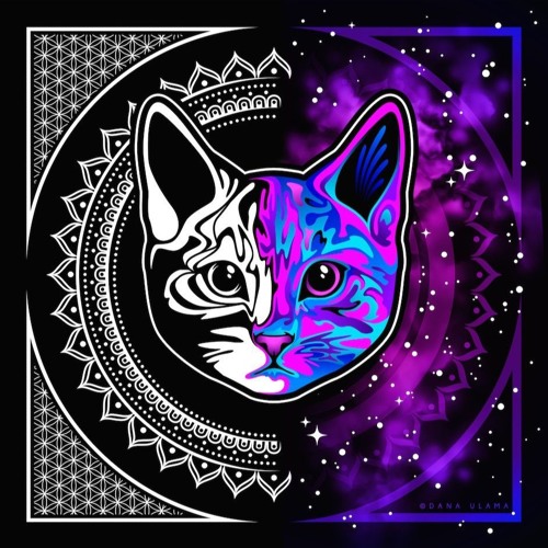 Stream Shanti Vs Space Cat - Toki Doki by ૐ iFzz ૐ | Listen online for ...