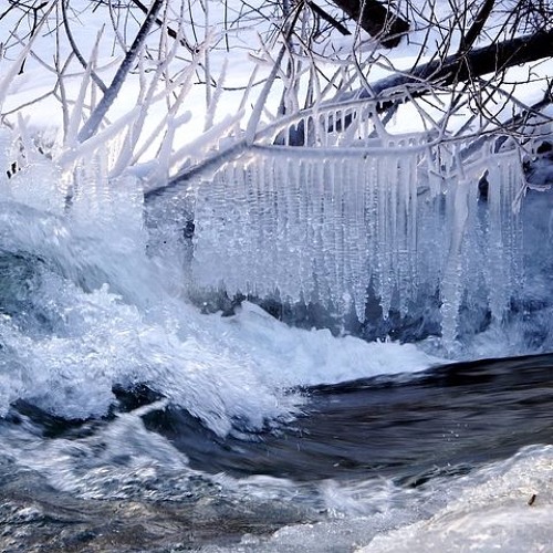 Stream +*Flash Freeze*+ W/ CASH by NB NICK | Listen online for free on ...