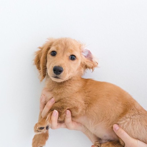 Stream Mahalin Mo Ulit Ako by Migs by Juan Miguel Aguinaldo | Listen ...