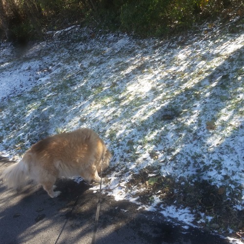 Stream 05 - HOLLY JOLLY BACKGROUND MUSIC FREESTYLE (Prod. HINH) by ...