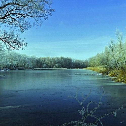 Stream The Thrill Project | Listen to Vinyl Excuses # 1 playlist online for free on SoundCloud