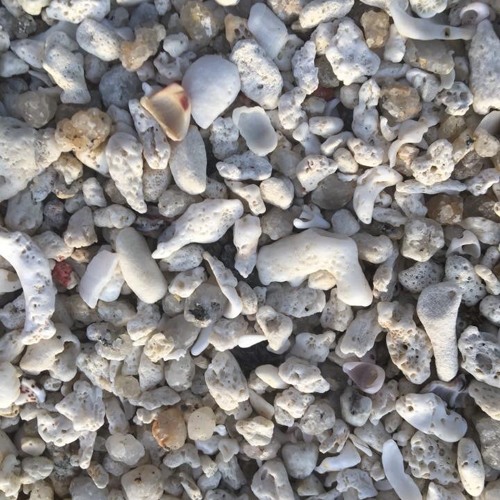 Stream 16 On Death Row And You Better Recognise (2pac and Sam sneed ...