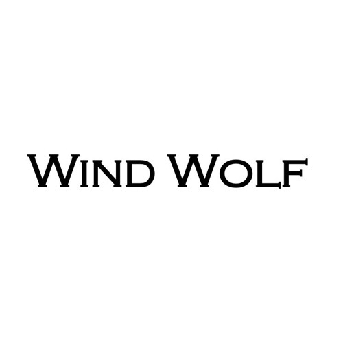 Stream Wind Wolf | Listen to Night of The Light - Single playlist online for free on SoundCloud