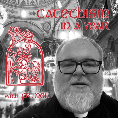 Stream Introduction to Catechism with Fr. Neil by NXOD | Listen online ...