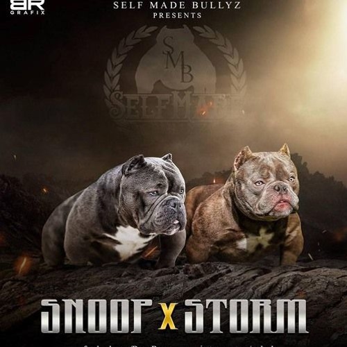 Stream My Dog (SMB TO THE WORLD pt2) by smb dean | Listen online for ...