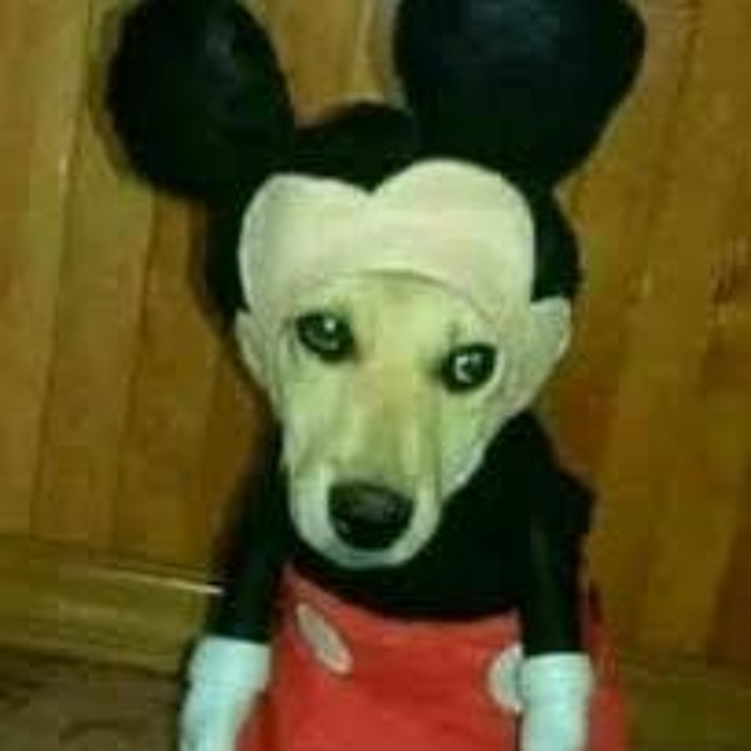 Stream Bonfire Remix Loud (Cursed Images Meme) by HelloMyNameIsThis ...