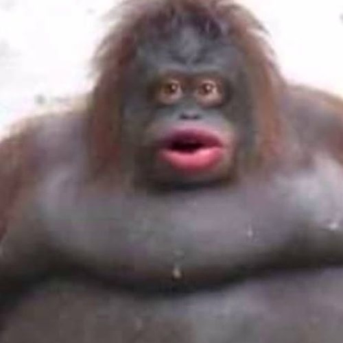 Stream LE MONKE LOFI BEAT BUT ITS NOT by HelloMyNameIsThis | Listen online for free on SoundCloud