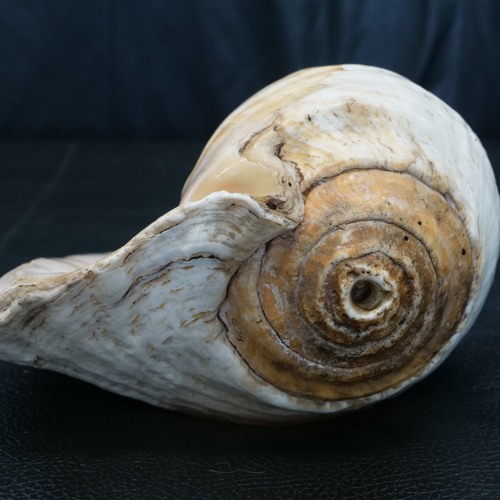 Stream Pututu (Área geográfica andina) by Museo Precolombino | Listen ...