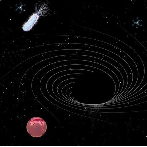 Stream Aquazoid - Microgravity & Bacteria by Aquazoid | Listen online ...