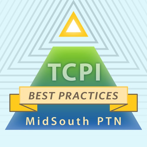 Stream episode Best Practices: IHI Model for Improvement by The Best ...