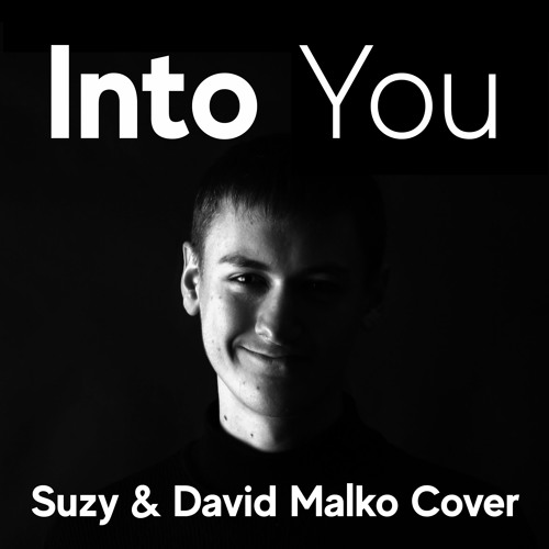 Stream Into You (Suzy & David Malko Cover) by David Malko | Listen online for free on SoundCloud