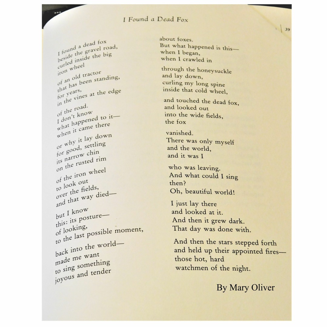 Stream "I Found a Dead Fox, " by Mary Oliver as performed by Kelsey ...