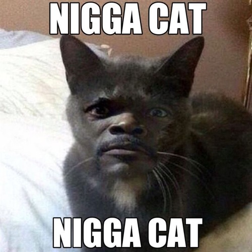 Nigga Cat (Eearrape) by Lil Retard | Free Listening on SoundCloud