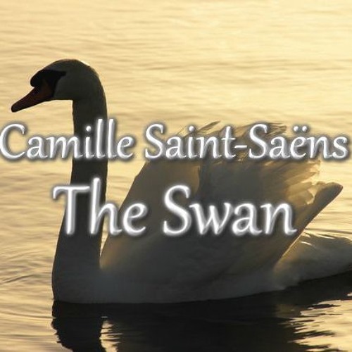 Stream The Swan - Camille Saint-Saens - Music Box Style by tomolin7 ...