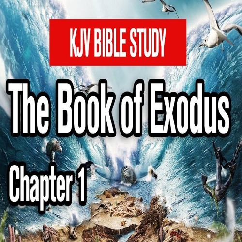 Stream Ex Catholics For Christ Radio Listen To Exodus Bible Study