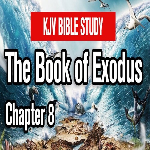 Stream Exodus Chapter 8: King James Version by Ex-Catholics For Christ ...