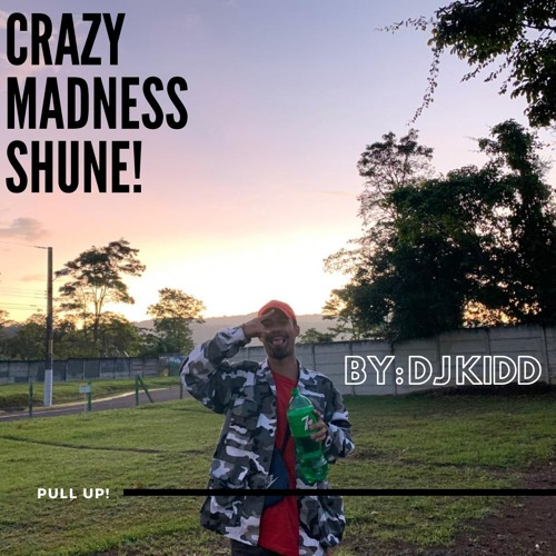Stream CRAZY MADNESS SHUNE by DJ Kidd | Listen online for free on ...