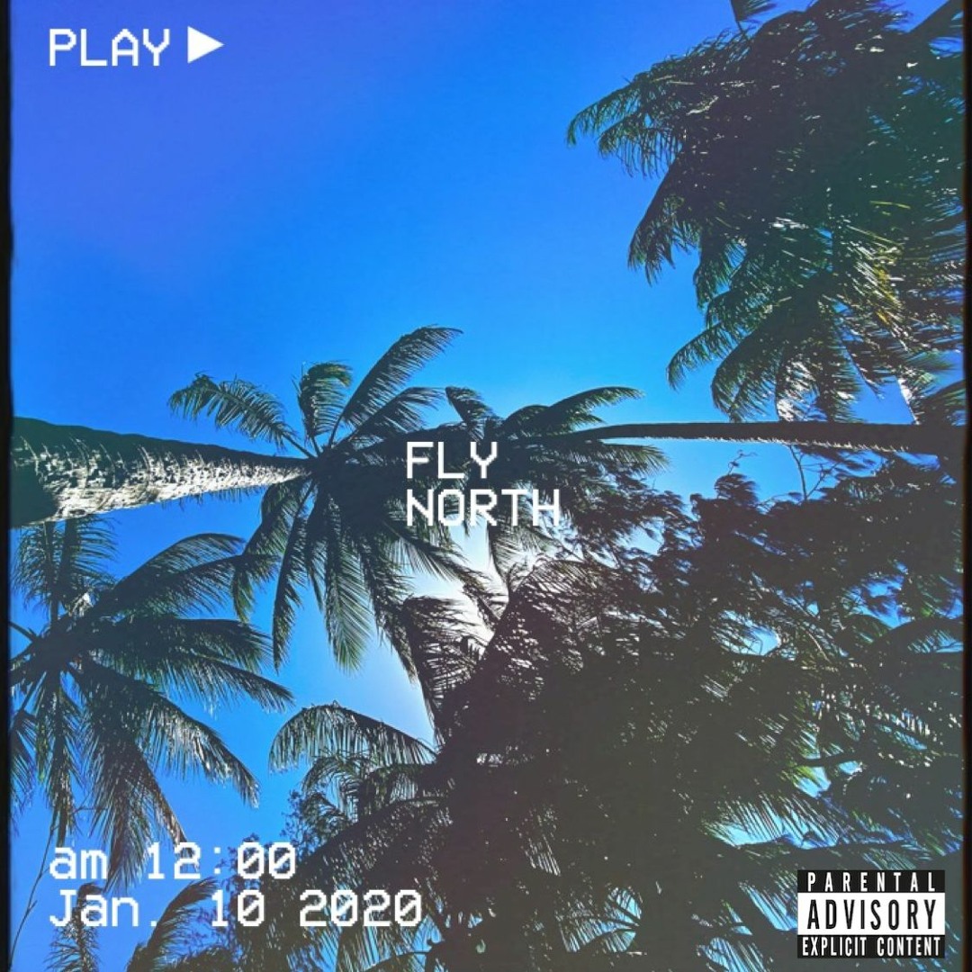Stream Fly North | Listen to Fly North: In The Summer playlist online ...