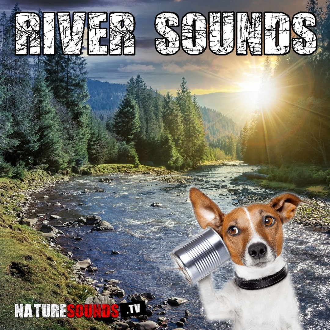 Stream Nature Sounds TV | Listen to River Sounds playlist online for ...