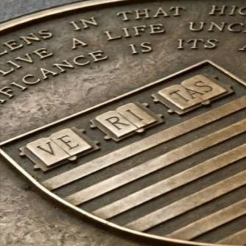 Stream episode Florian Berg on The Divergence of Corporate ...