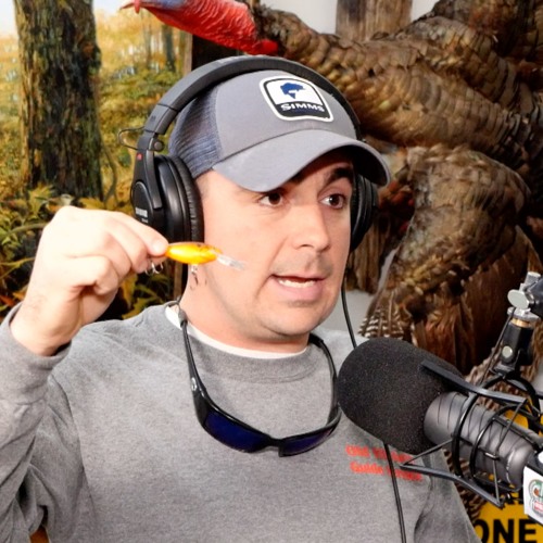 Stream episode TW 170 - Where Do Bass Go In The Winter? by Tennessee ...