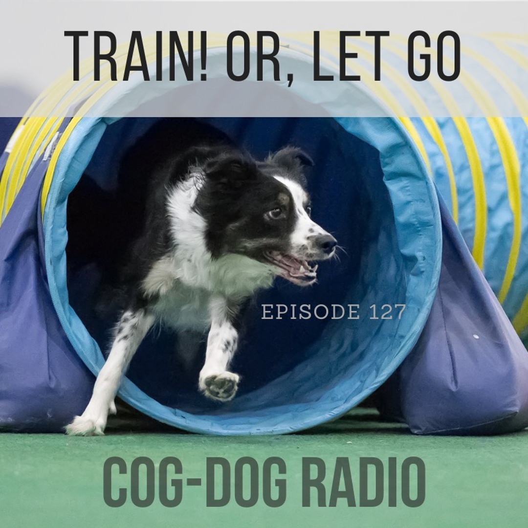 Stream Train! Or, Let Go by Cog-Dog Radio | Listen online for free on ...