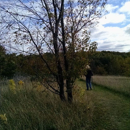 Stream Catalonian Promise by Terry Heban | Listen online for free on ...