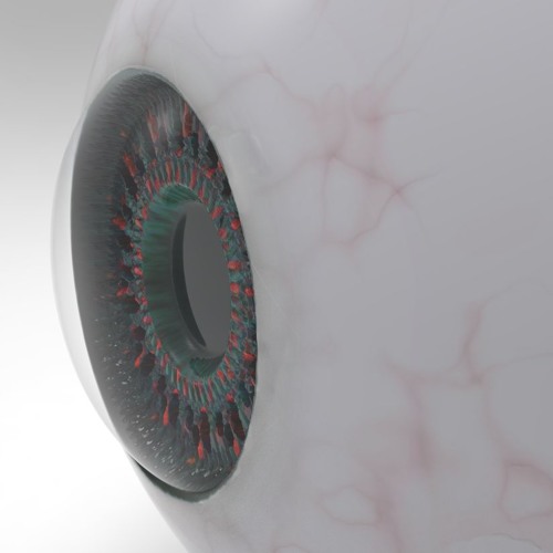 Stream Ferlince | Listen to debut playlist online for free on SoundCloud