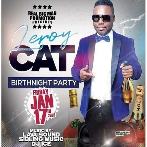 Stream LEROY CAT BIRTHDAY JAN 17 2020 by siblingmusic | Listen online ...