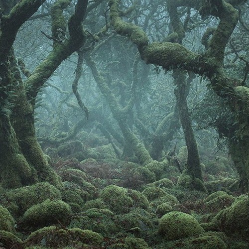 Stream DñZ - Gone Inside Real Life · (GIRL) by Daryk Groves | Listen ...