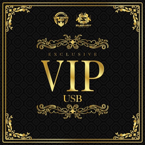 Stream LOW DOWN DEEP RECORDINGS | Listen to VIP USB 001 playlist online ...