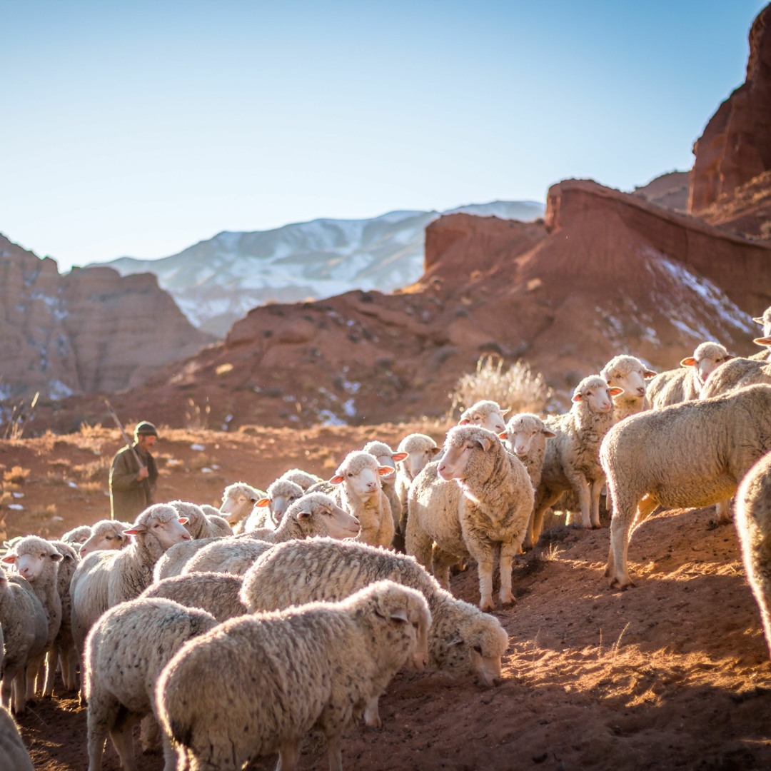 Stream Why Are The Mountains So High? by The Fisherman | Listen online ...