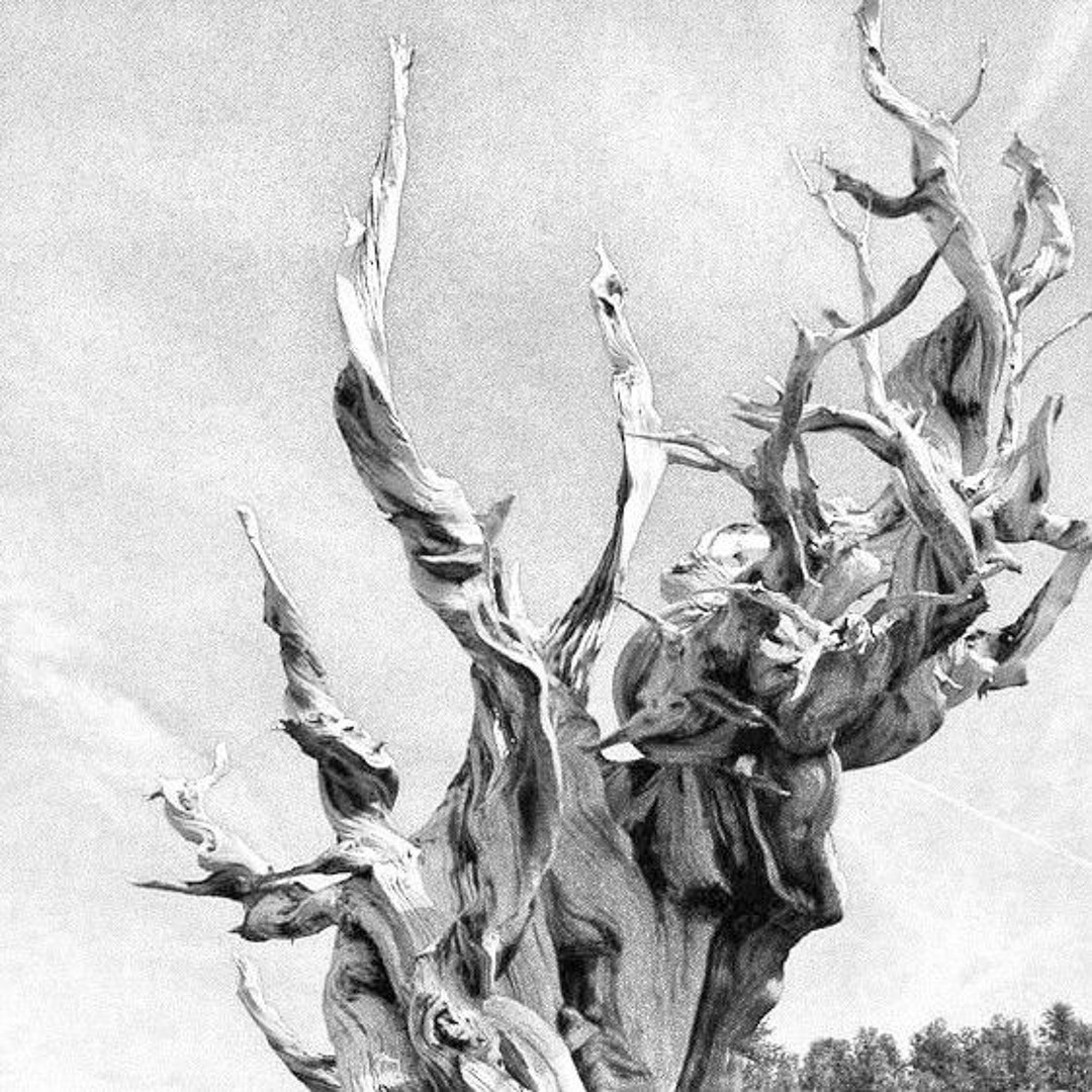 Stream Don't Forget by Mike Goodfellow | Listen online for free on ...