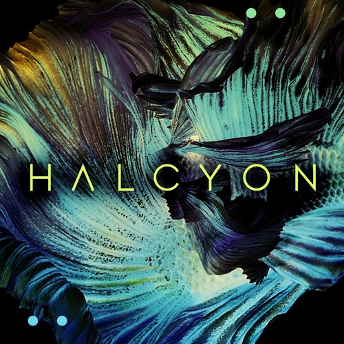 Stream 101 Halcyon SF Live - John Summit by Halcyon SF | Listen online ...