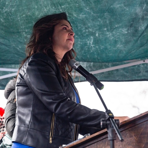 Stream 01-21-20 - SPEECH: Rep. Kelly Chambers tells her personal story ...