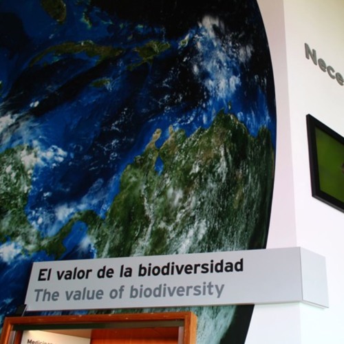 Stream 4 The Value of Biodiversity by Biomuseo | Listen online for free ...