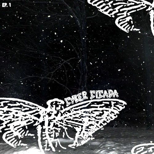 Stream The Cyber Cicada - Episode One - "Wido" by Cyber Cicada Podcast ...